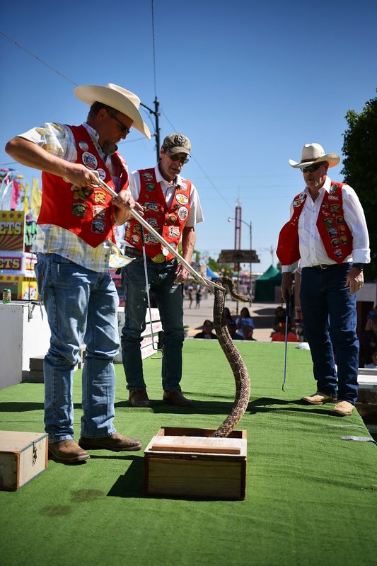 Mangum Rattlesnake Derby | TravelOK.com - Oklahoma's Official Travel ...