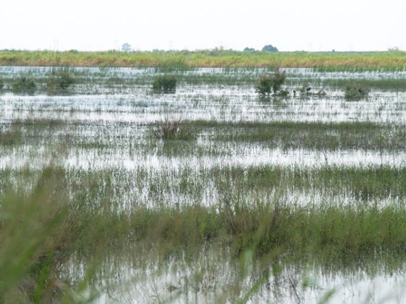 Hackberry Flat Wildlife Management Area & Center | TravelOK.com ...