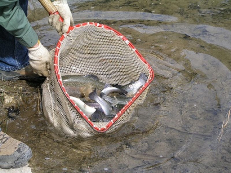 Blue River | TravelOK.com - Oklahoma's Official Travel & Tourism Site