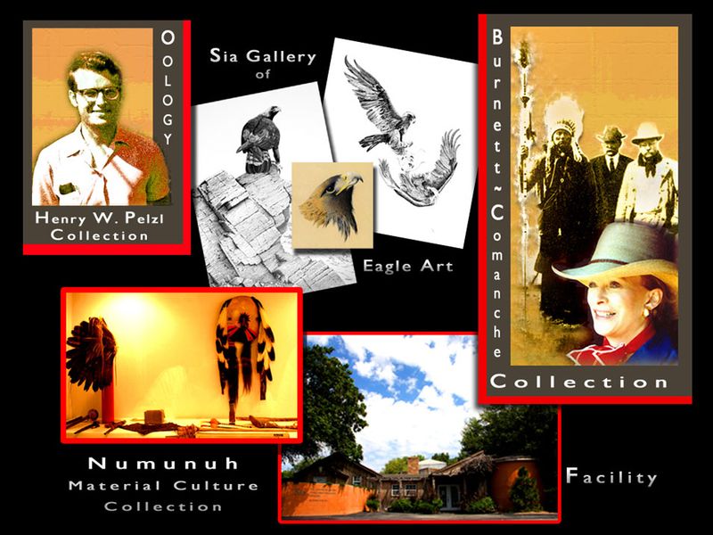 Sia: The Comanche Eagle & Raptor Center | TravelOK.com - Oklahoma's ...