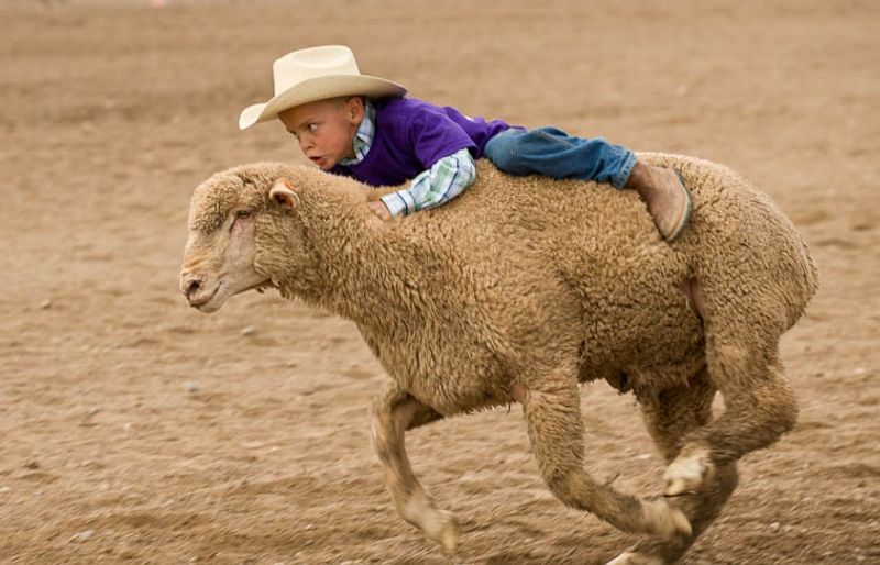 National Junior Bull Riders Finals | TravelOK.com - Oklahoma's Official ...
