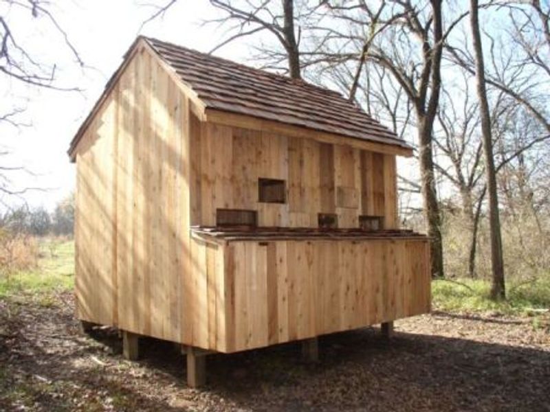 Deep Fork National Wildlife Refuge | TravelOK.com - Oklahoma's Official ...