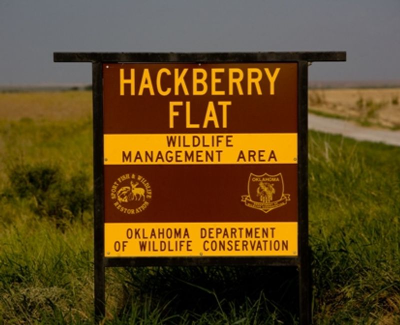 Hackberry Flat Wildlife Management Area & Center | TravelOK.com ...