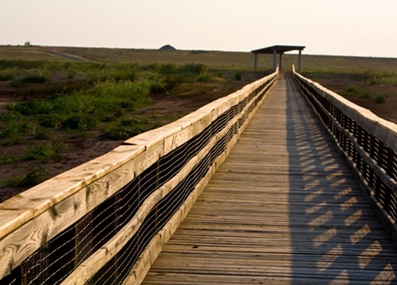 Hackberry Flat Wildlife Management Area & Center | TravelOK.com ...