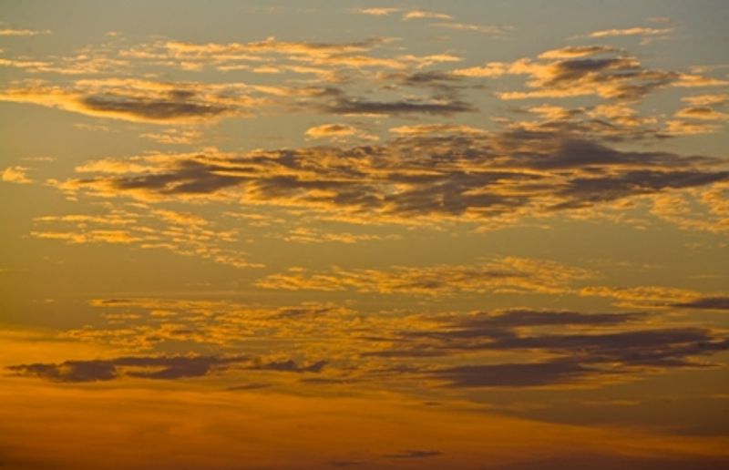 Hackberry Flat Wildlife Management Area & Center | TravelOK.com ...