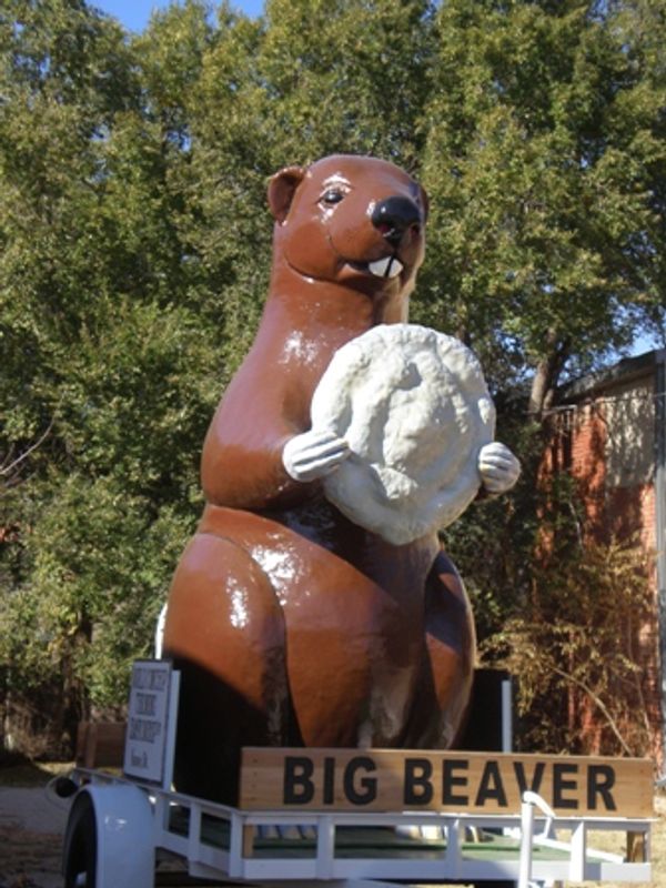 Cimarron Territorial Celebration & Cow Chip Throwing Contest | TravelOK ...