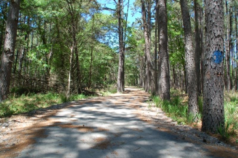 Sequoyah State Park Trail System | TravelOK.com - Oklahoma's Official ...