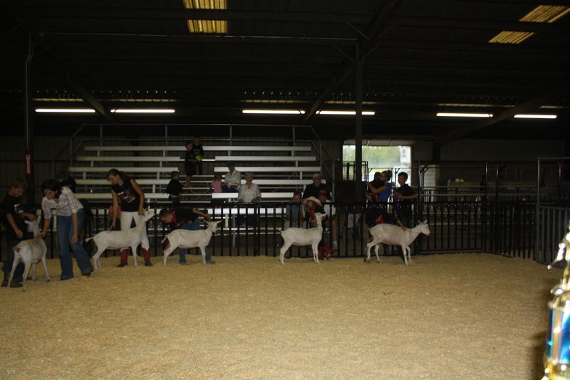 McClain County Free Fair | TravelOK.com - Oklahoma's Official Travel ...