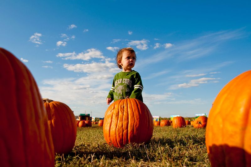 Pumpkin Town Farms | TravelOK.com - Oklahoma's Official Travel ...