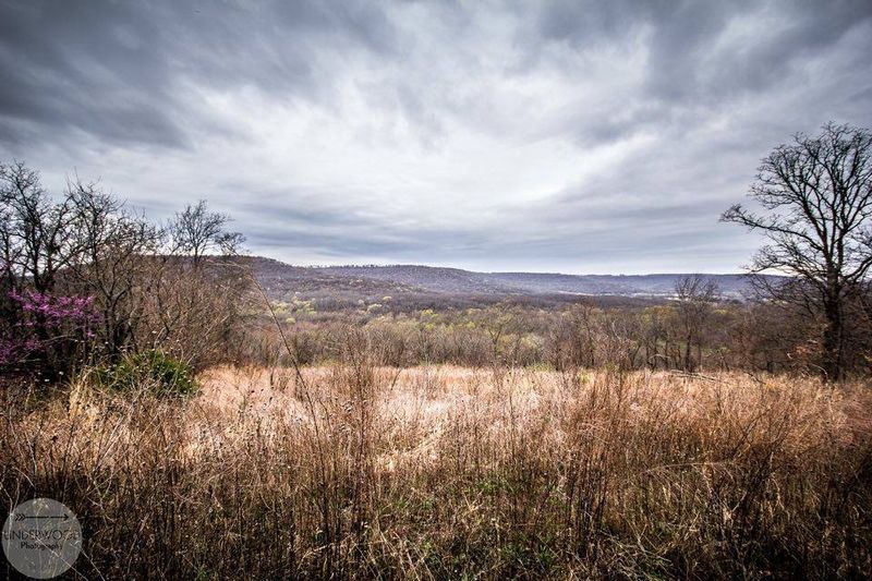 Cookson Wildlife Management Area | TravelOK.com - Oklahoma's Official ...