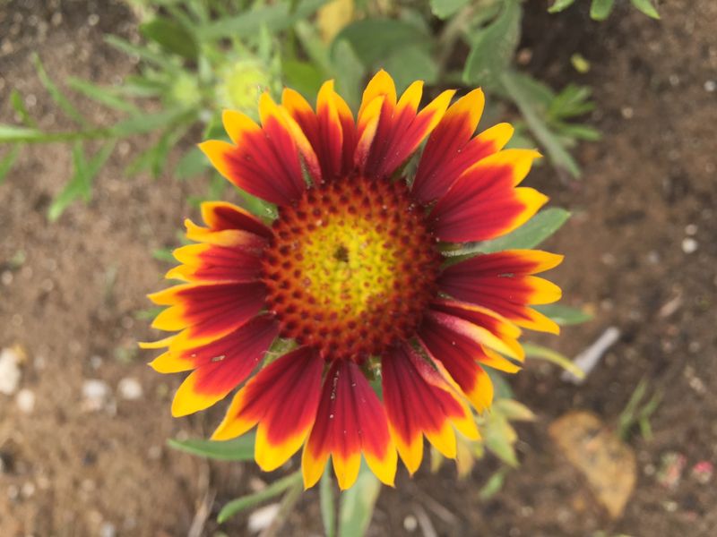 Deep Fork National Wildlife Refuge | TravelOK.com - Oklahoma's Official ...