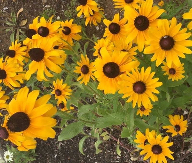 Deep Fork National Wildlife Refuge | TravelOK.com - Oklahoma's Official ...