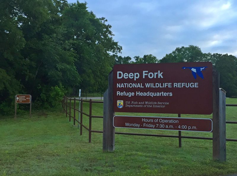 Deep Fork National Wildlife Refuge | TravelOK.com - Oklahoma's Official ...