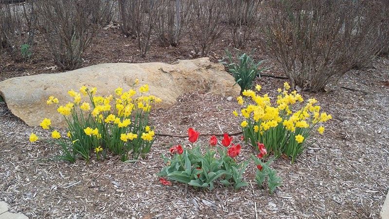 Ray Harral Nature Center | TravelOK.com - Oklahoma's Official Travel ...