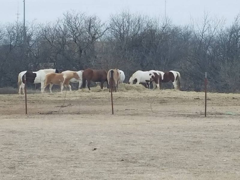 The Riding Stables at Draper Lake | TravelOK.com - Oklahoma's Official ...