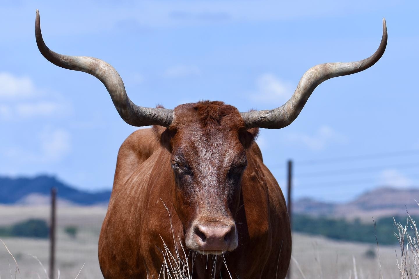 TravelOK.com Homepage | TravelOK.com - Oklahoma's Official Travel ...