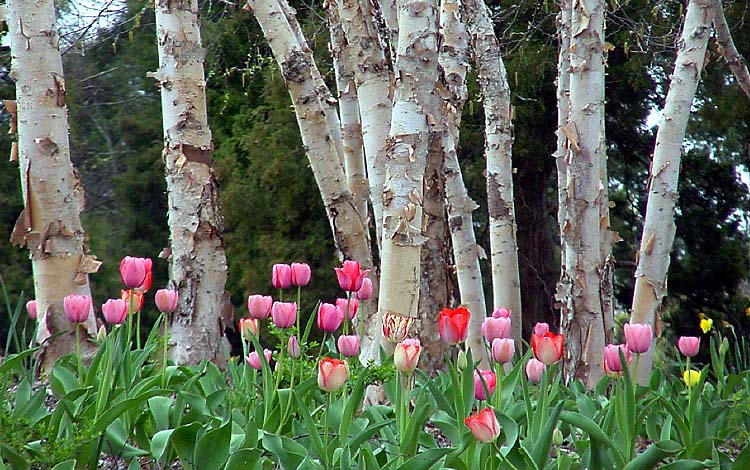 City of Muskogee | TravelOK.com - Oklahoma's Official Travel & Tourism Site