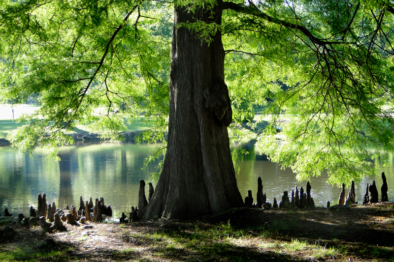 City of Muskogee | TravelOK.com - Oklahoma's Official Travel & Tourism Site
