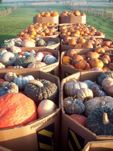 Oklahoma Fall Foliage and Festivals | TravelOK.com - Oklahoma's ...