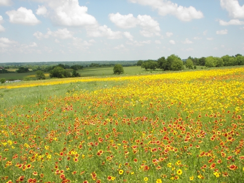 City of Davis | TravelOK.com - Oklahoma's Official Travel & Tourism Site