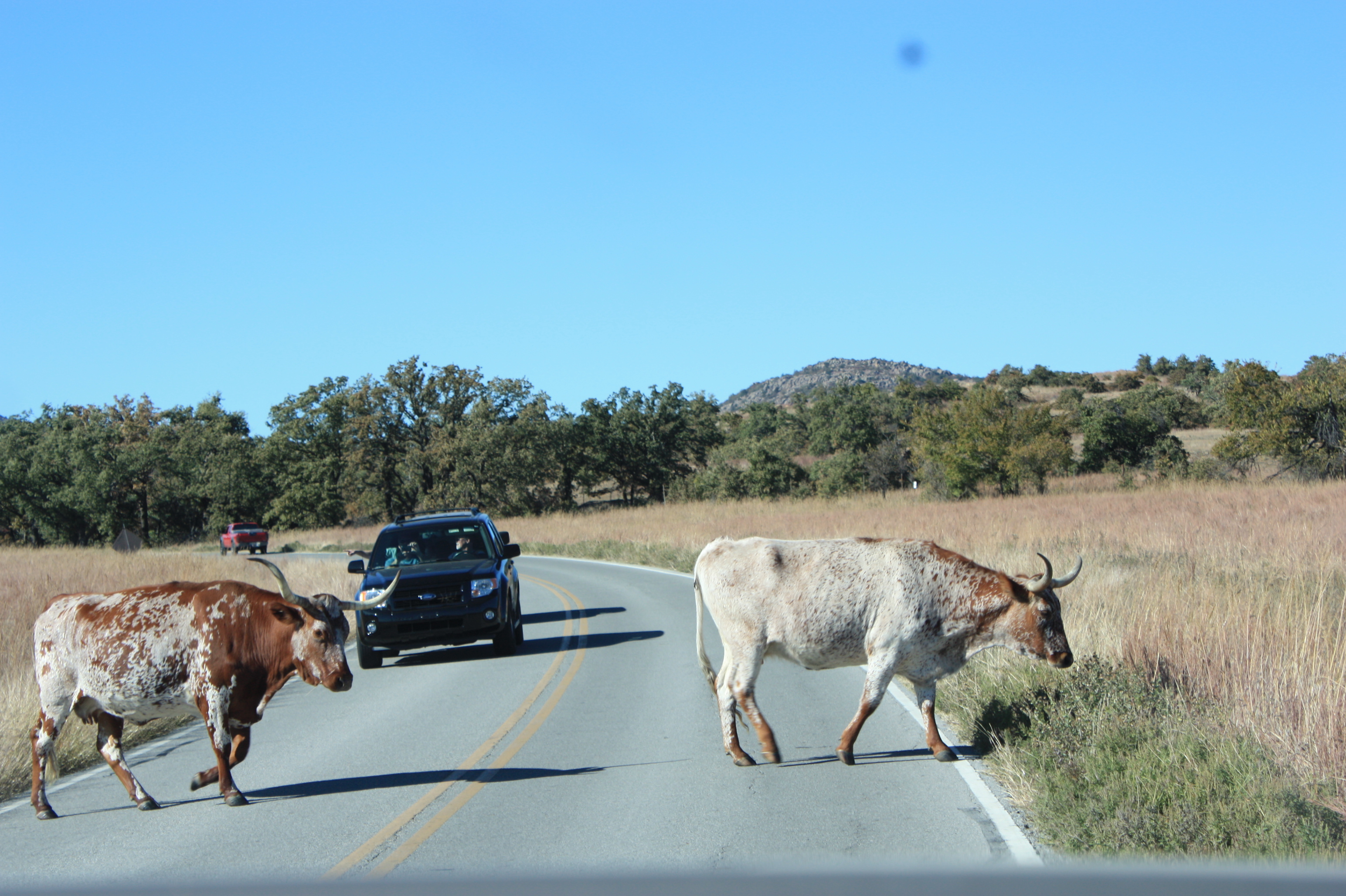 Oklahoma Road Trips | TravelOK.com - Oklahoma's Official Travel ...