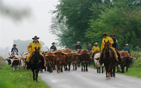 Western Heritage & Cowboys | TravelOK.com - Oklahoma's Official Travel ...