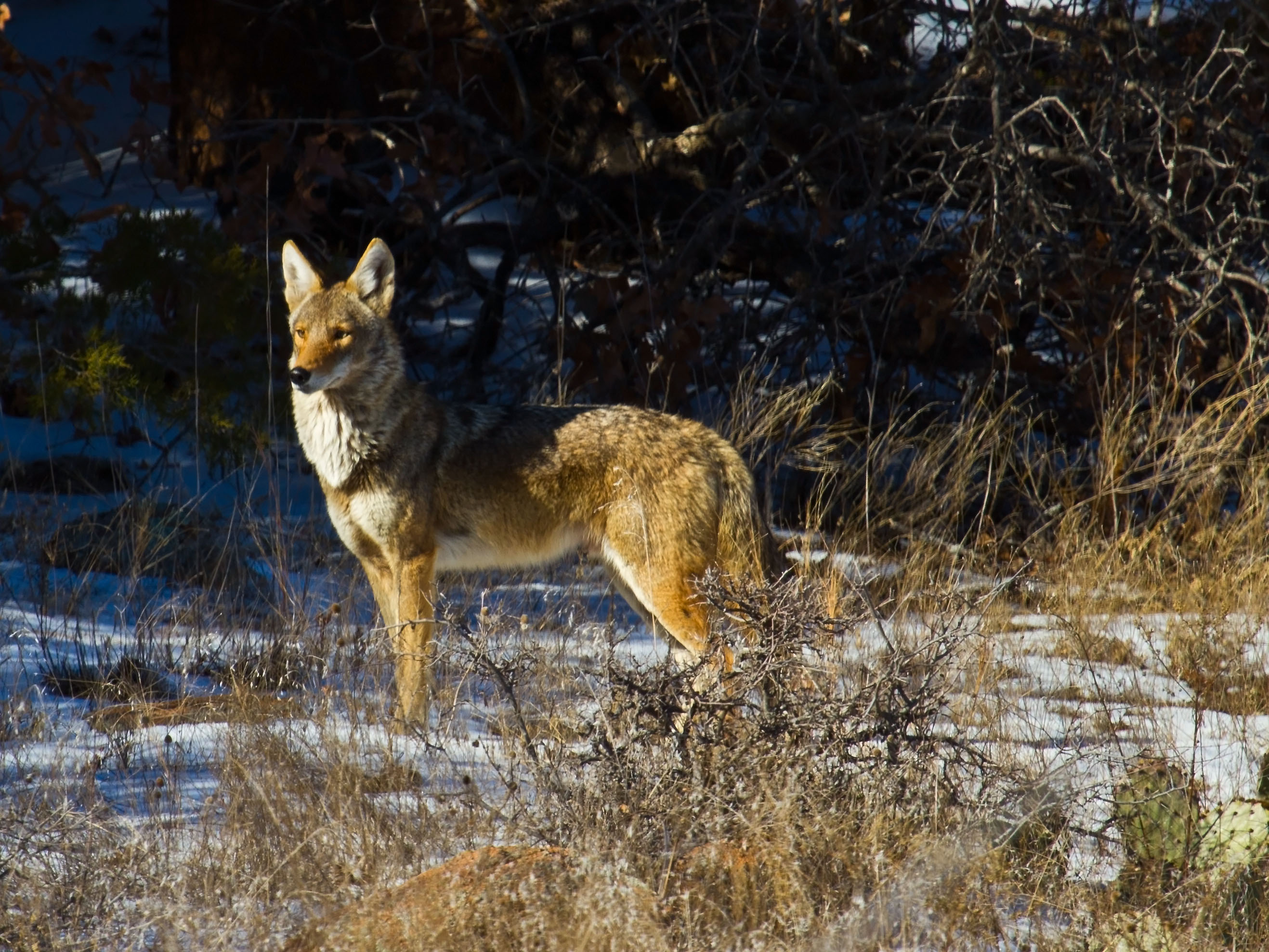 TravelOK.com - Oklahoma's Official Travel & Tourism Site