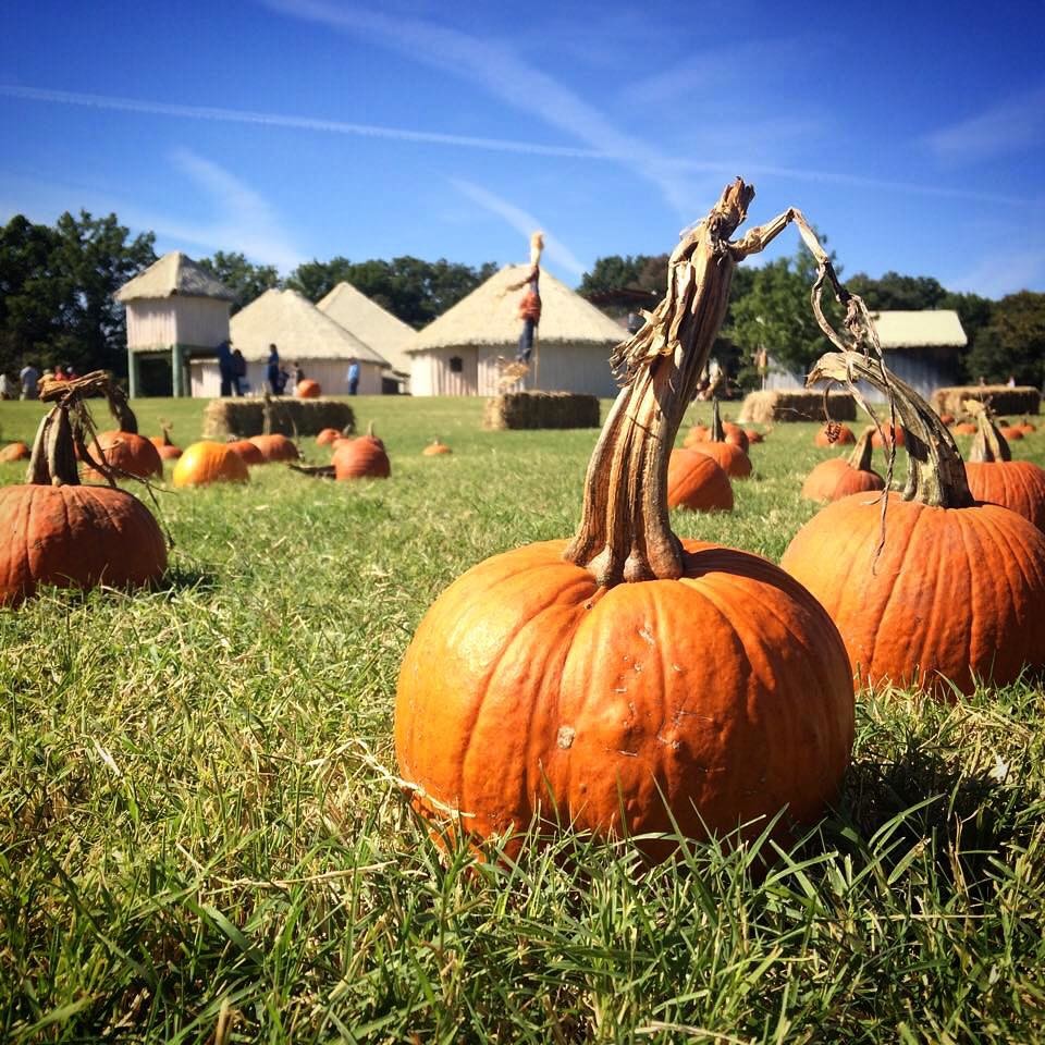 Oklahoma Fall Foliage and Festivals | TravelOK.com - Oklahoma's ...