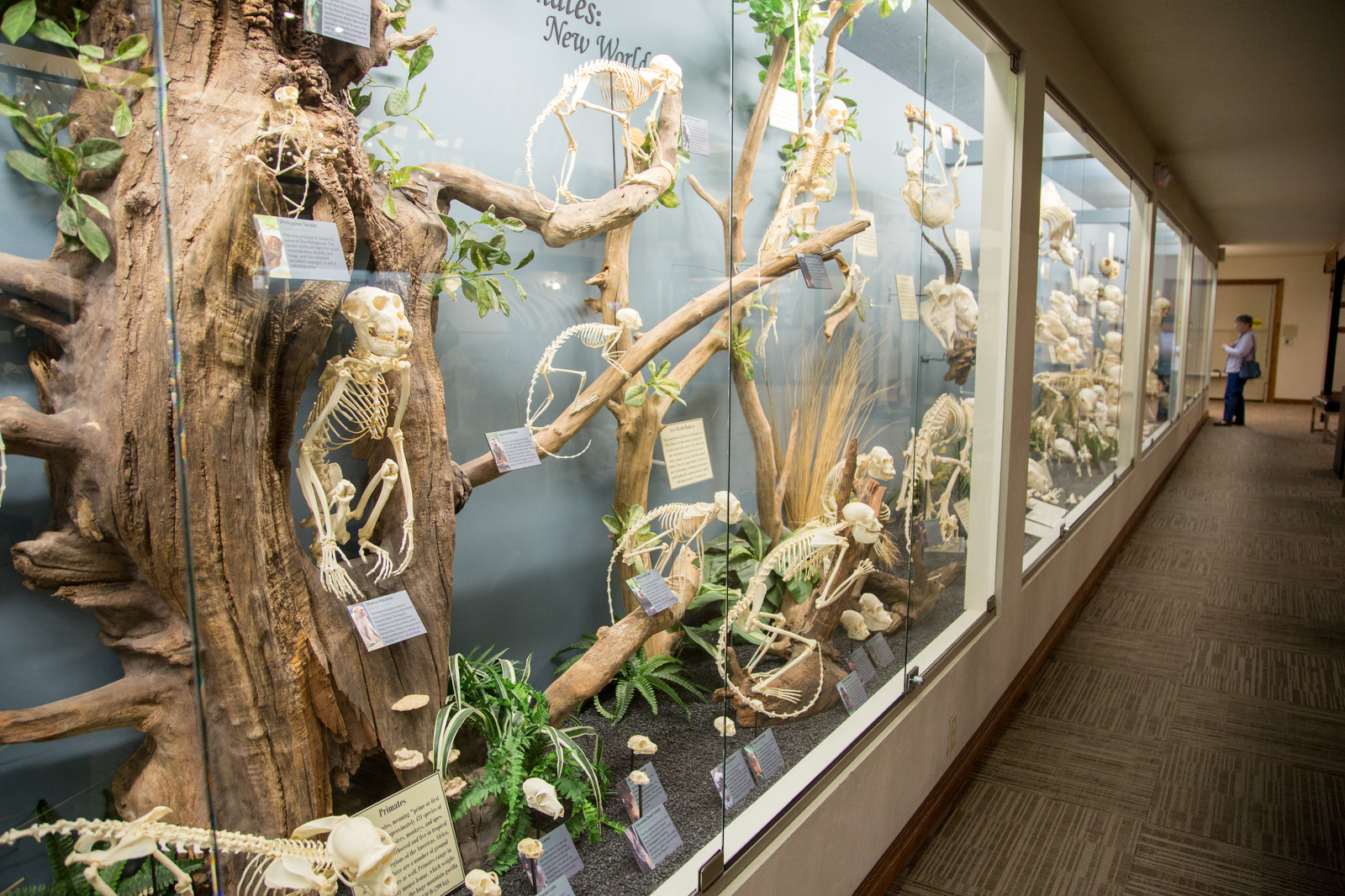 Oklahoma Museums | TravelOK.com - Oklahoma's Official Travel & Tourism Site