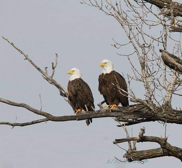 City of Sand Springs | TravelOK.com - Oklahoma's Official Travel ...