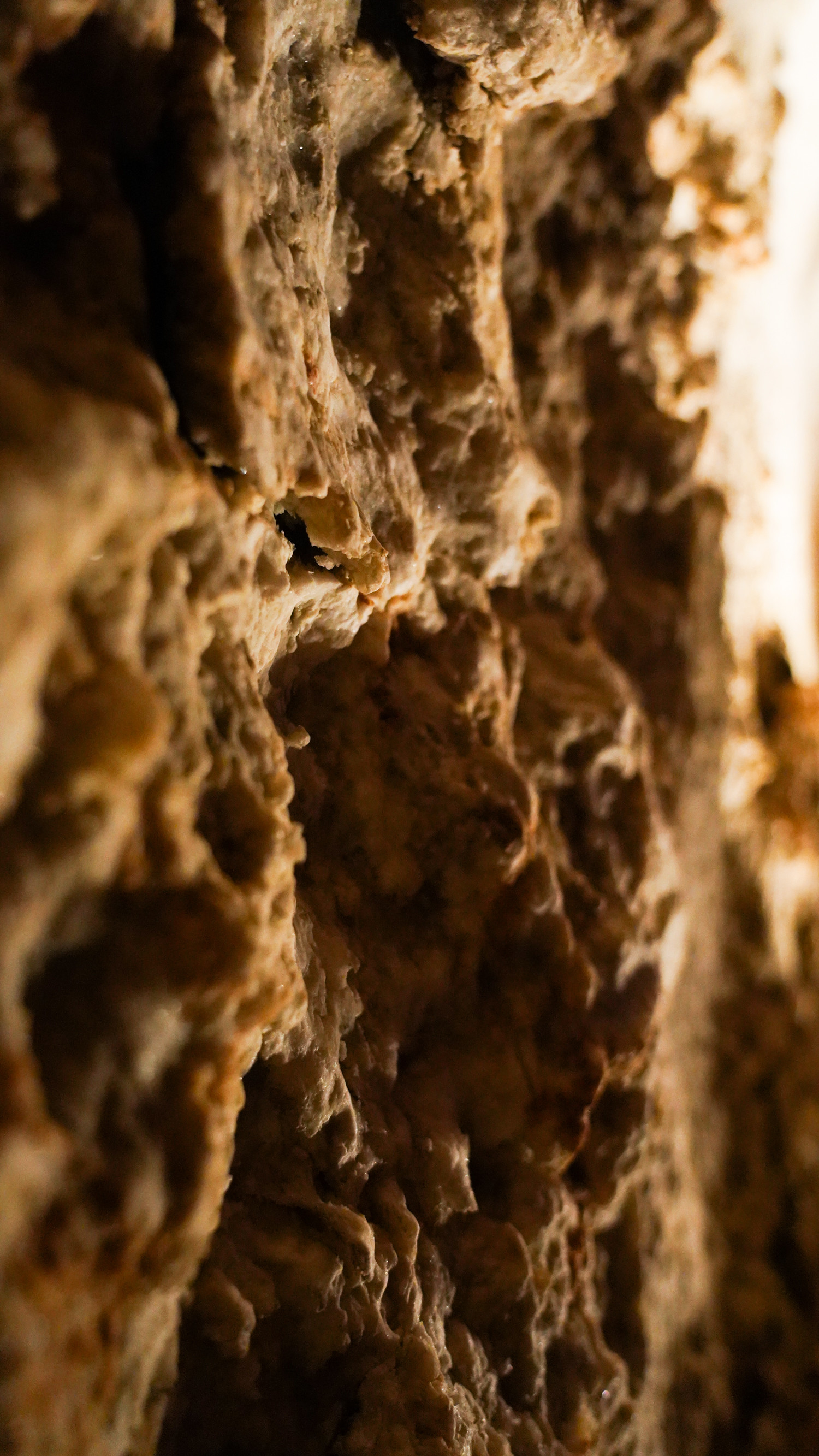 TravelOK.com - Oklahoma's Official Travel & Tourism Site