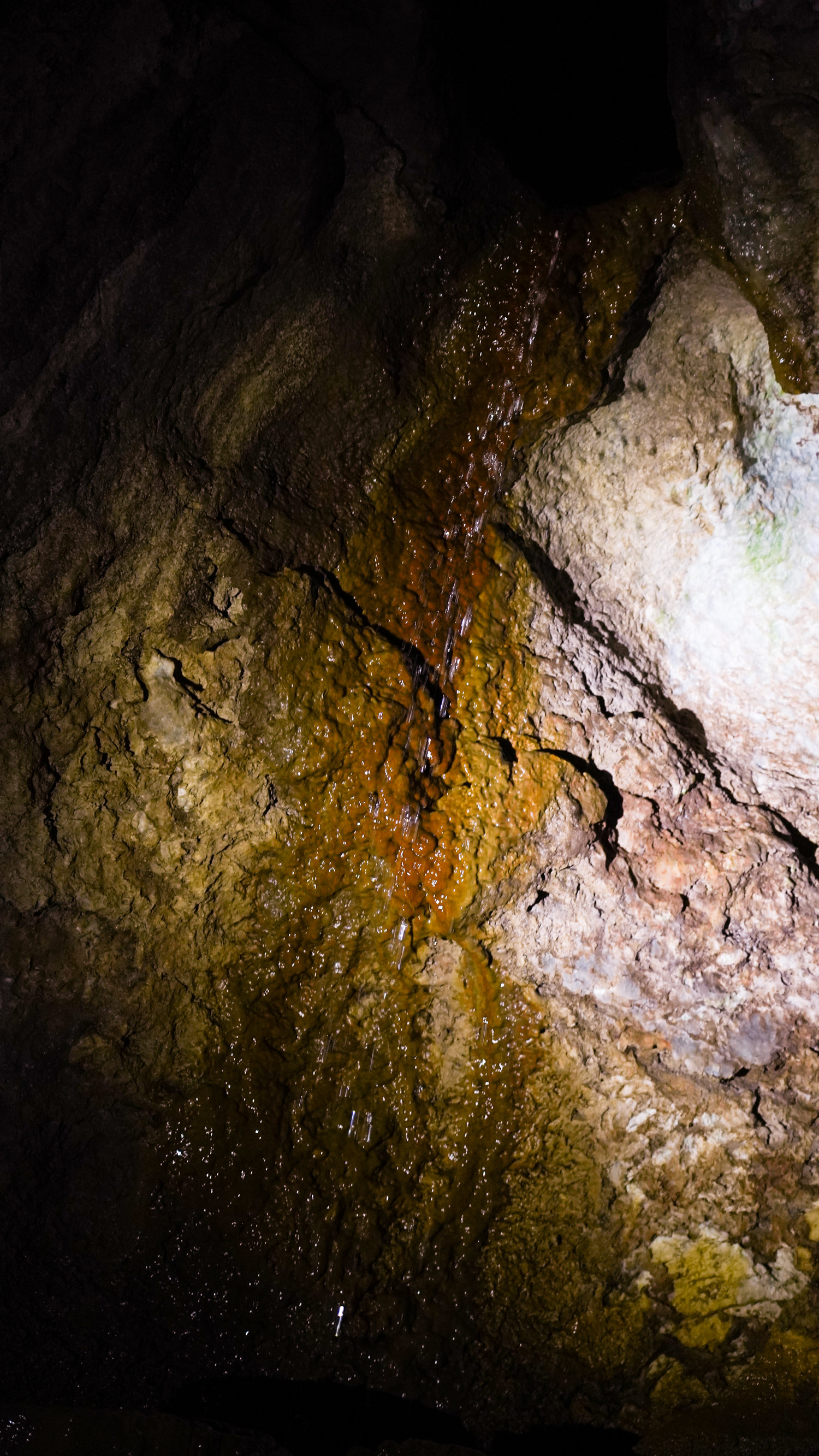 TravelOK.com - Oklahoma's Official Travel & Tourism Site