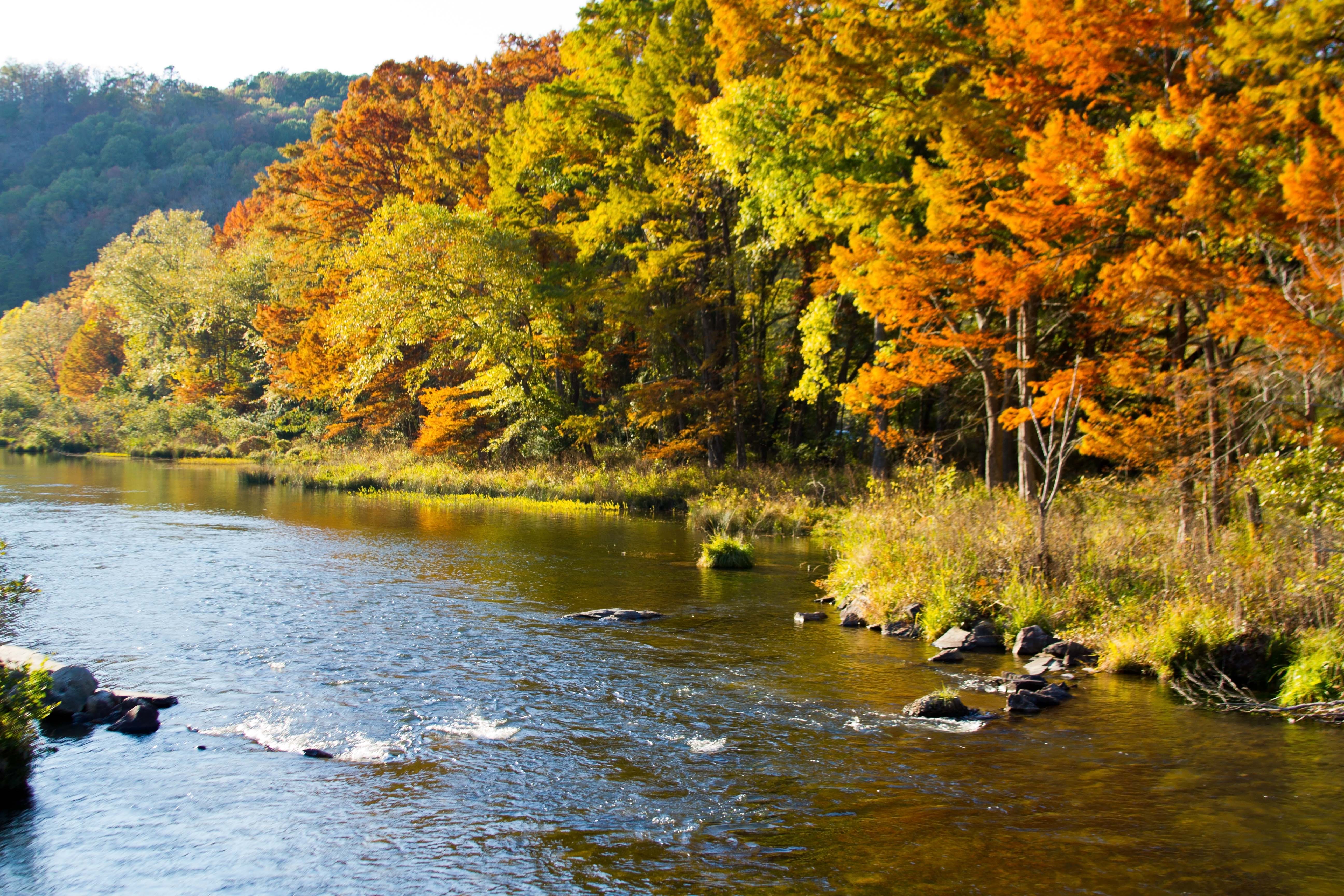 Oklahoma Fall Foliage and Festivals | TravelOK.com - Oklahoma's ...