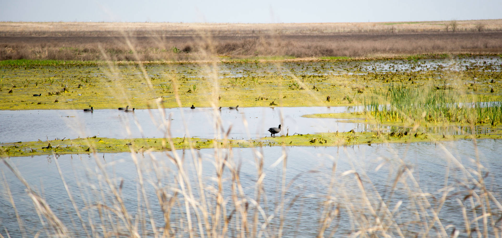 TravelOK.com - Oklahoma's Official Travel & Tourism Site