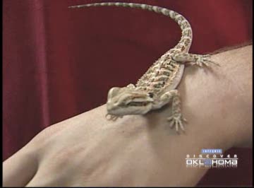 Oklahoma's Kid-Sized Adventures | TravelOK.com - Oklahoma's Official ...