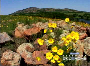 Mangum Rattlesnake Derby | TravelOK.com - Oklahoma's Official Travel ...