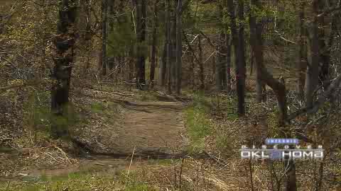 Keystone Ancient Forest | TravelOK.com - Oklahoma's Official Travel ...