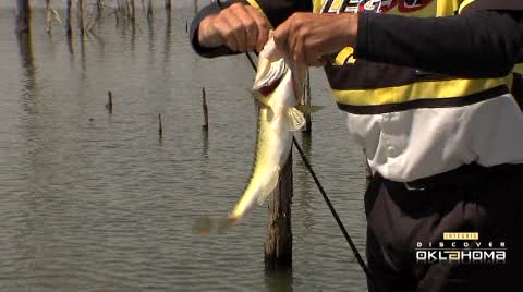 Fishing in Oklahoma | TravelOK.com - Oklahoma's Official Travel ...