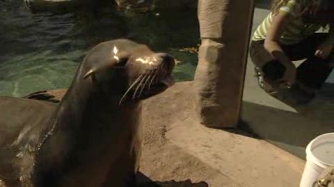 Tulsa Zoo | TravelOK.com - Oklahoma's Official Travel & Tourism Site