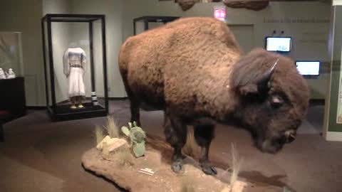 Comanche National Museum & Cultural Center | TravelOK.com - Oklahoma's ...