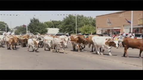 Oklahoma Rodeos | TravelOK.com - Oklahoma's Official Travel & Tourism Site